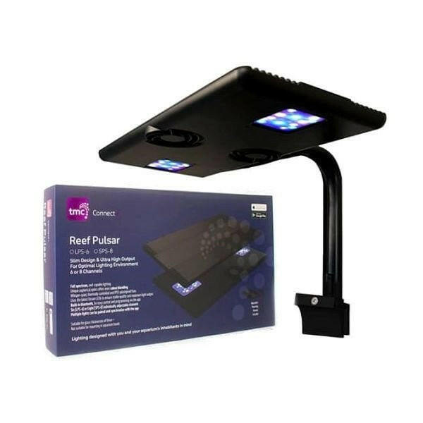 TMC Lighting | Charterhouse Aquatics