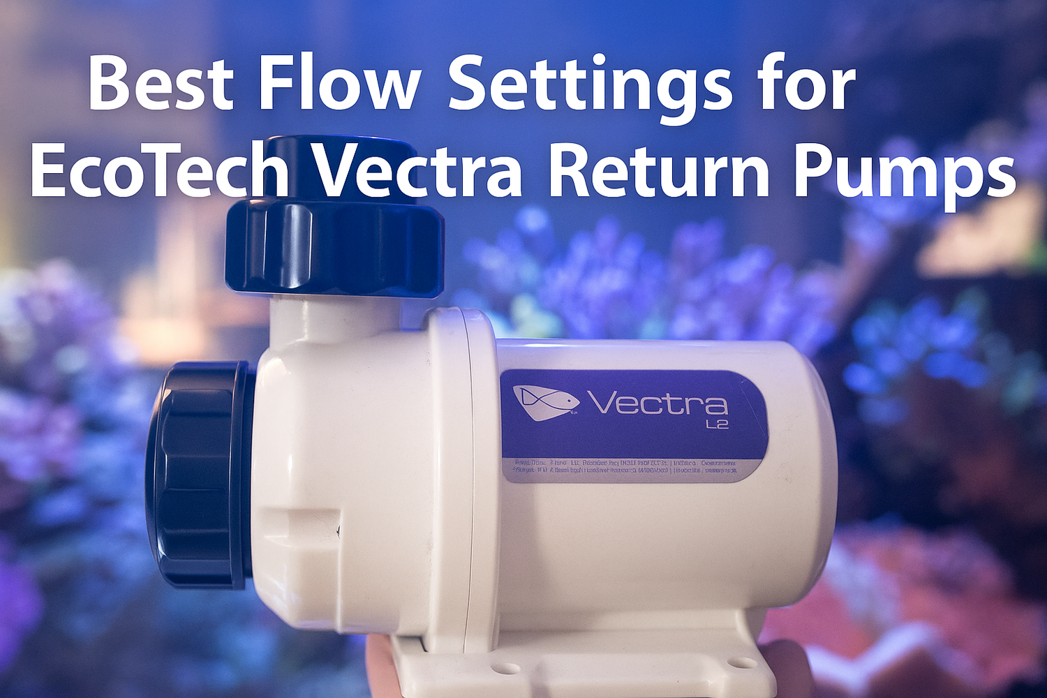 Best Flow Settings for EcoTech Vectra Return Pumps – Charterhouse Aquatics