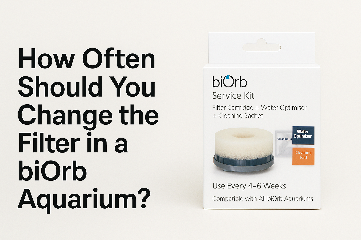 How Often Should You Change the Filter in a biOrb Aquarium ...