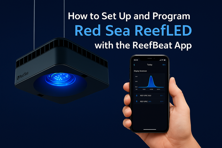 How to Set Up and Program Red Sea ReefLED with the ReefBeat App ...