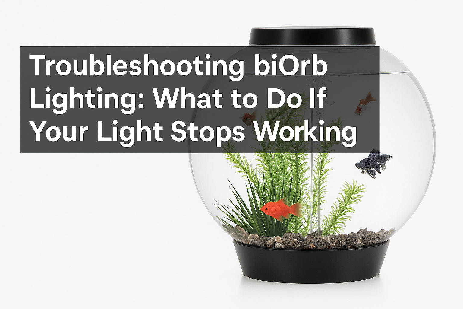 Troubleshooting biOrb Lighting: What to Do If Your Light Stops Working ...