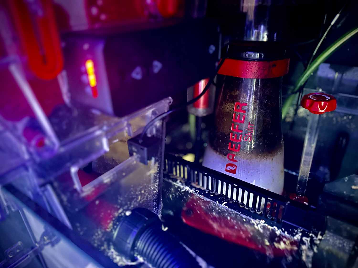 Sump vs. External Canister Filter: Which Do I Choose? – Charterhouse ...