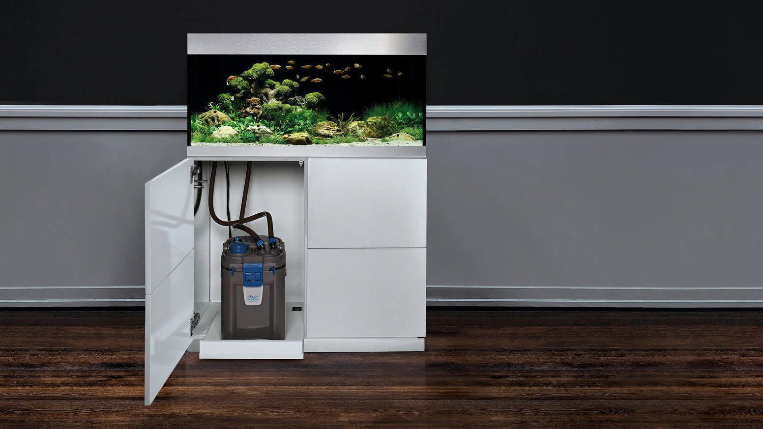 How to Choose an External Filter for Your Aquarium – Charterhouse Aquatics