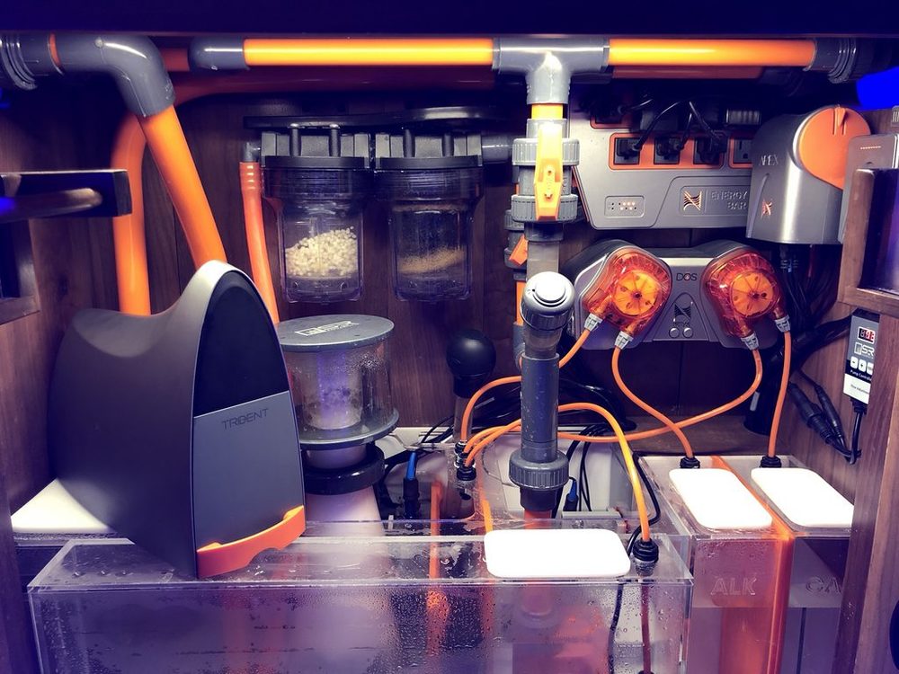 Neptune Systems Trident: Revolutionising Reef Aquarium Monitoring ...