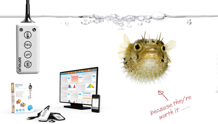 Revolutionize Your Fishkeeping with Seneye Aquarium Monitoring Systems ...