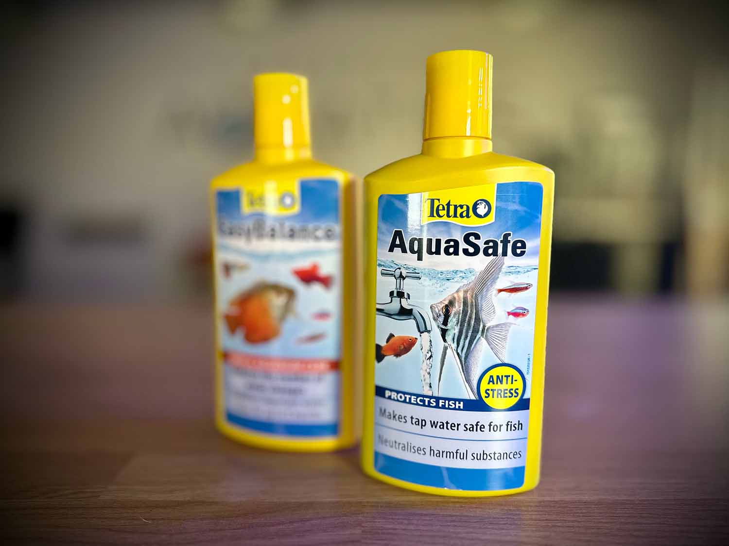 Aquarium Water Dechlorination, Why Is It Essential? – Charterhouse Aquatics