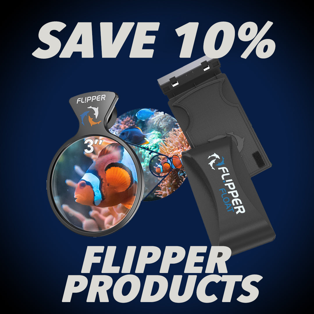 Flipper – Charterhouse Aquatics