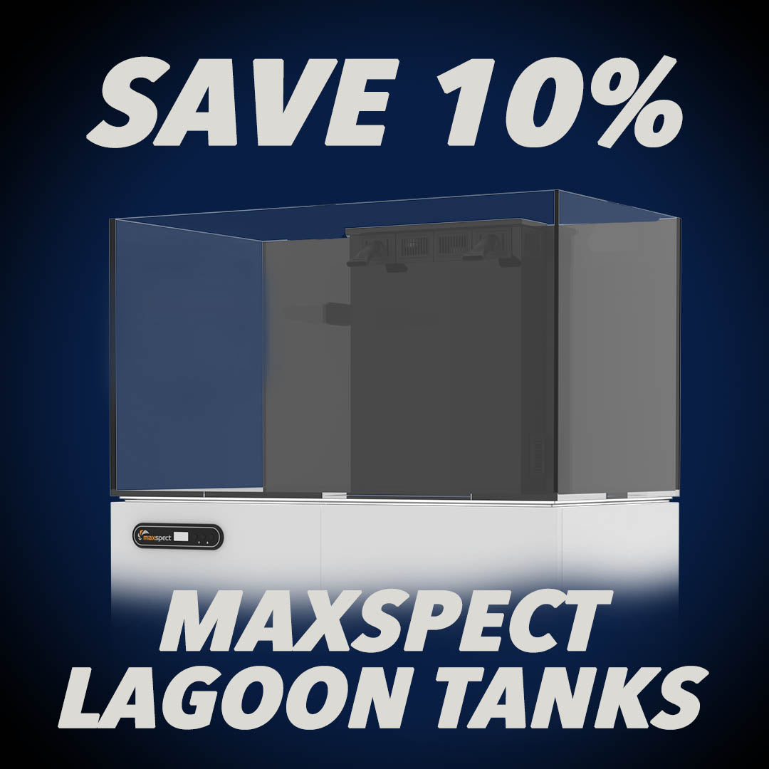 Maxspect Lagoon Tanks – Charterhouse Aquatics