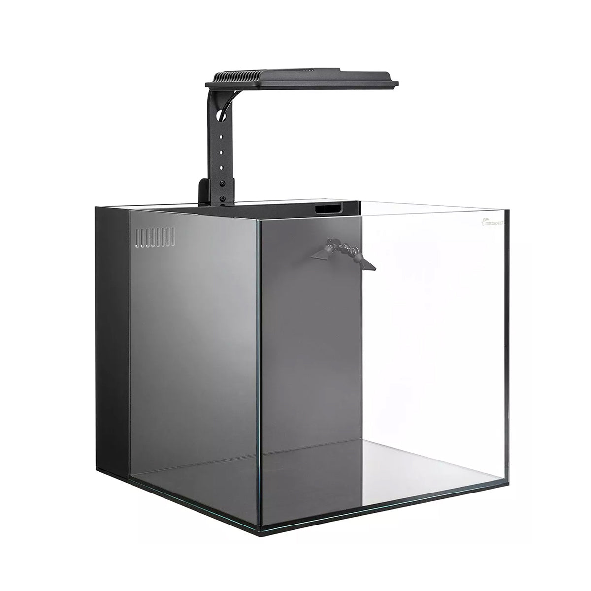 Maxspect Aquariums - Charterhouse Aquatics