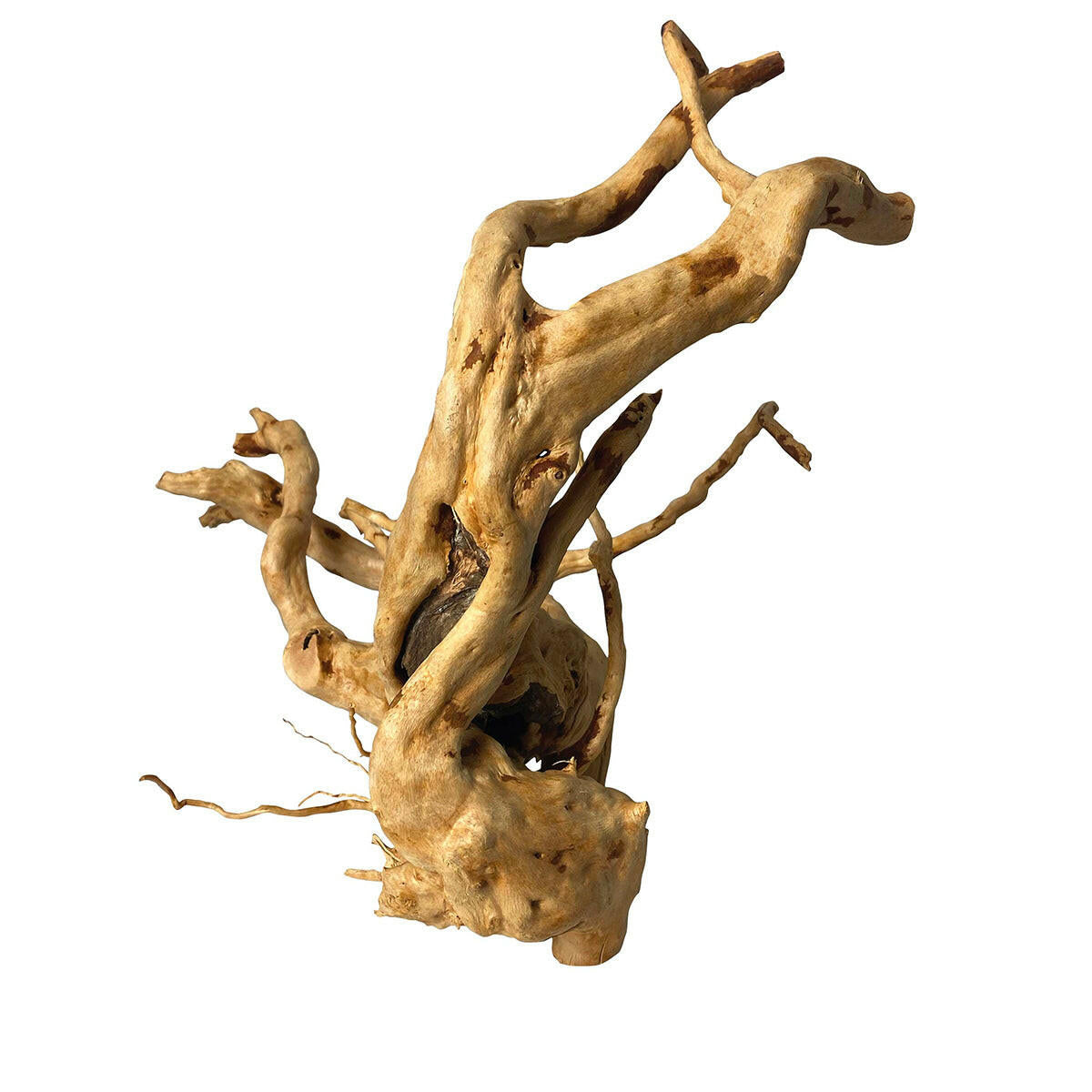 Aqua One Redmoor Root Nano – Charterhouse Aquatics