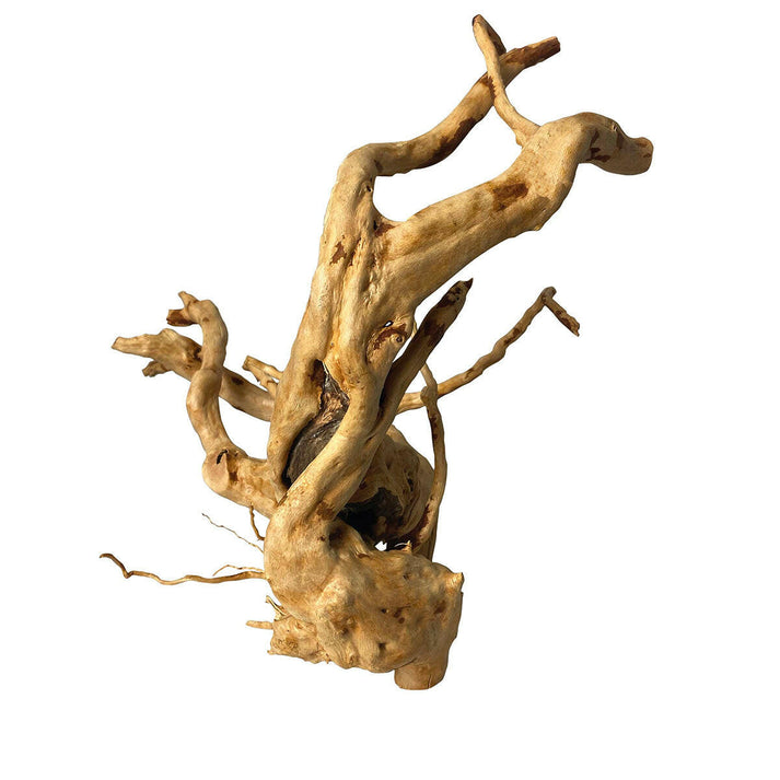 Aqua One Redmoor Root Nano – Charterhouse Aquatics