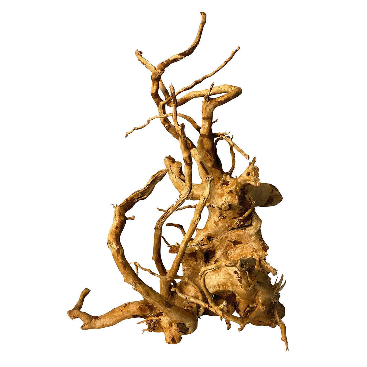 Aqua One Redmoor Root S – Charterhouse Aquatics