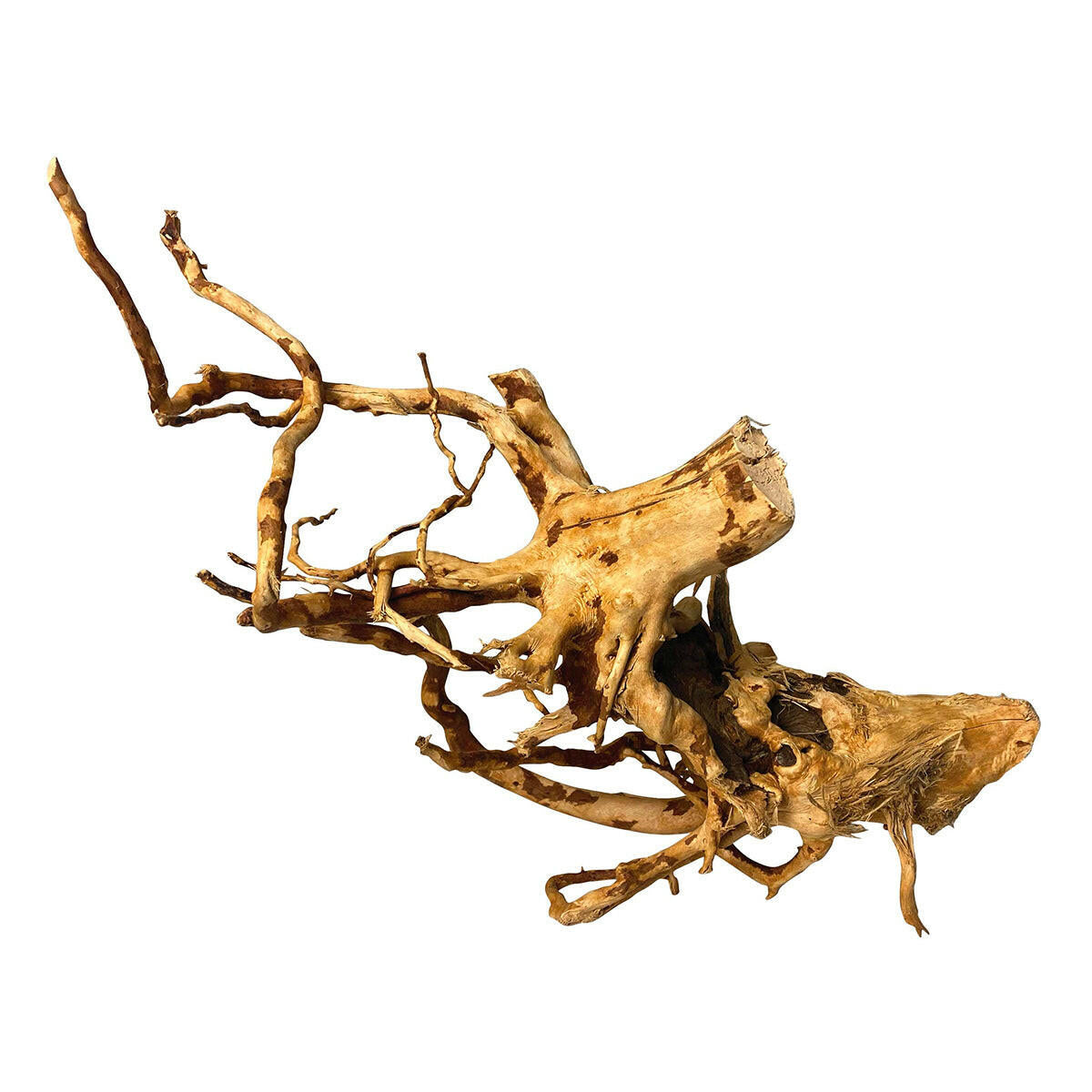 Aqua One Redmoor Root L – Charterhouse Aquatics