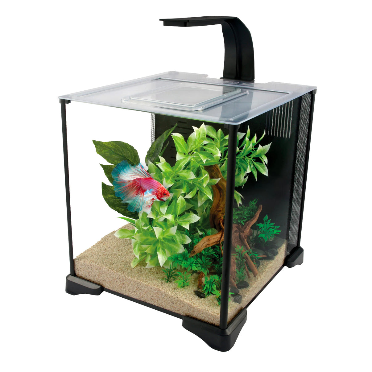 Fluval Betta Premium Aquarium Kit – Charterhouse Aquatics