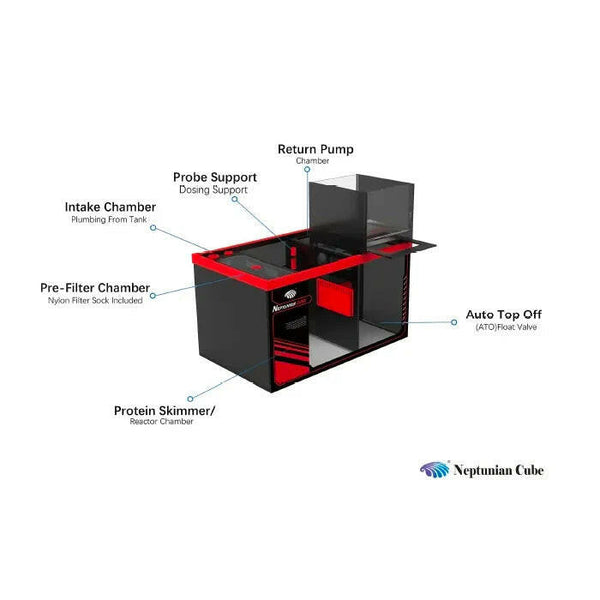 Neptunian Cube M Pro 90 Marine Aquarium Set – Charterhouse Aquatics