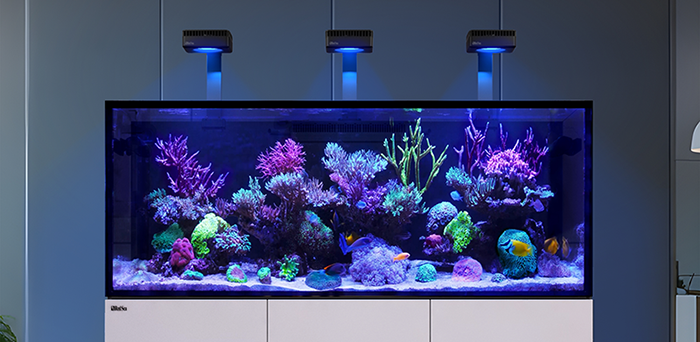 Red Sea Reefer G3 Saltwater Systems – Reef‑Ready Kits & Tanks ...