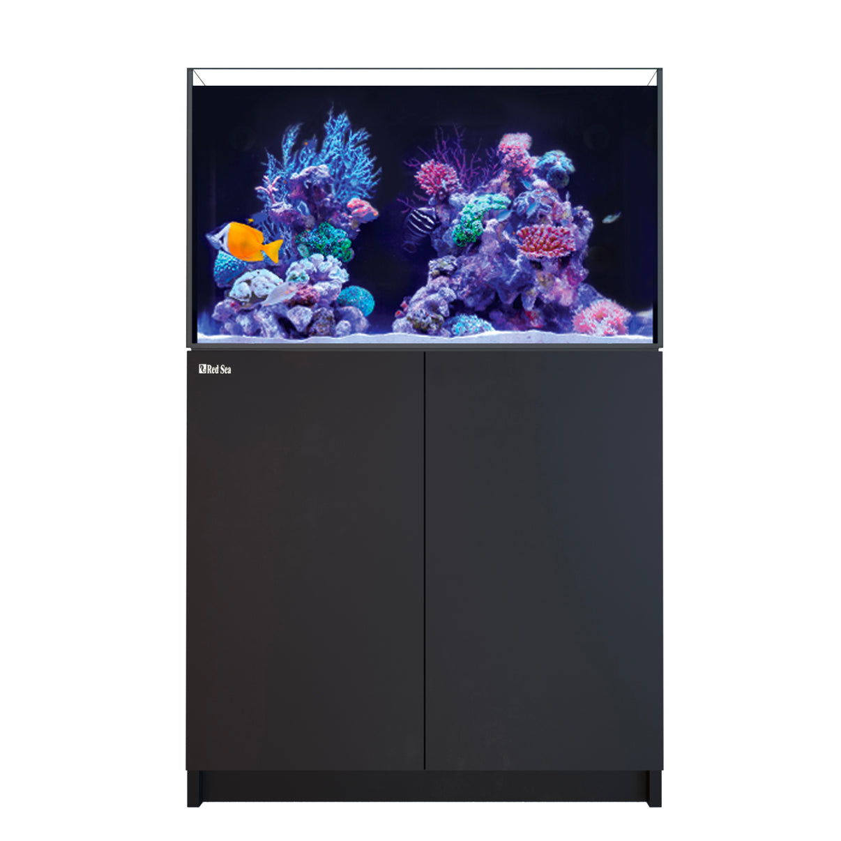 Red Sea Reefer Max G3 250 Aquarium – Charterhouse Aquatics