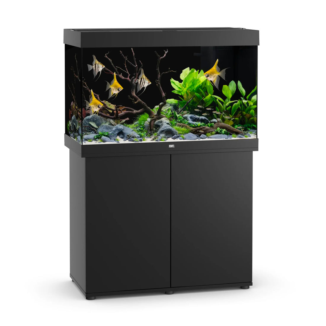 Juwel Rio 290 Aquarium and Cabinet – Charterhouse Aquatics