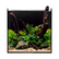 UNS Dual All-In-One 35A Cube Aquarium | 11 Gallon Rimless Tank UK ...