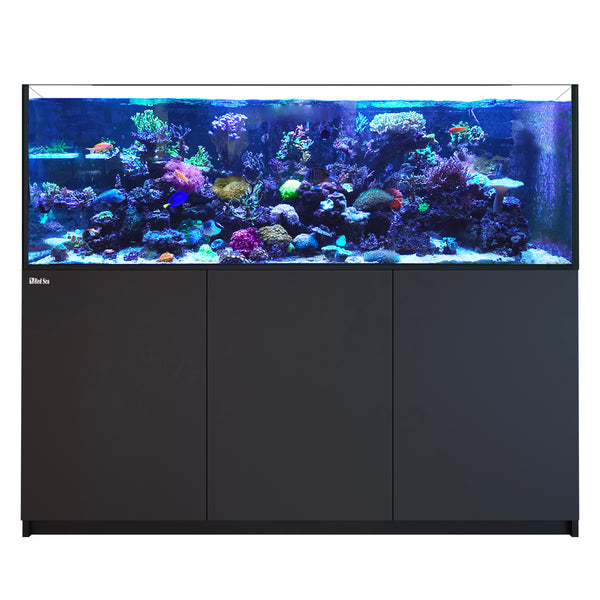 Red Sea Reefer Max G3 750 Aquarium – Charterhouse Aquatics