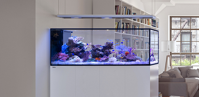 Red Sea Reefer Peninsula G3 | Room-divider Plug & Play Smart Aquariums ...