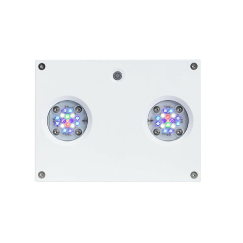 AI Hydra 32HD LED Light - White – Charterhouse Aquatics