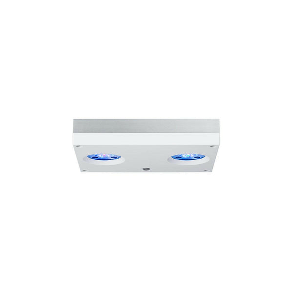 AI Hydra 32HD LED Light - White – Charterhouse Aquatics