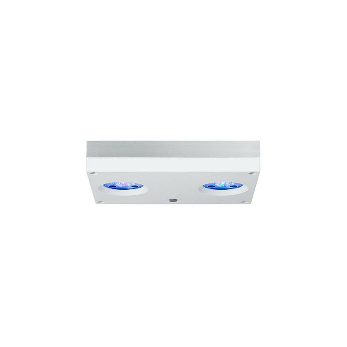 AI Hydra 32HD LED Light - White – Charterhouse Aquatics