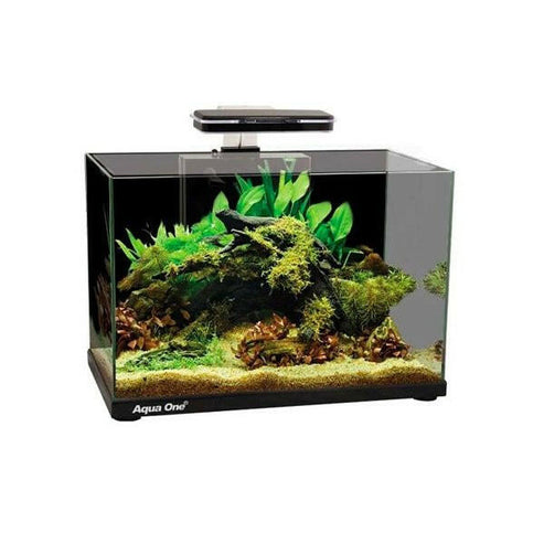 Aqua One Focus 36 Aquarium – Charterhouse Aquatics