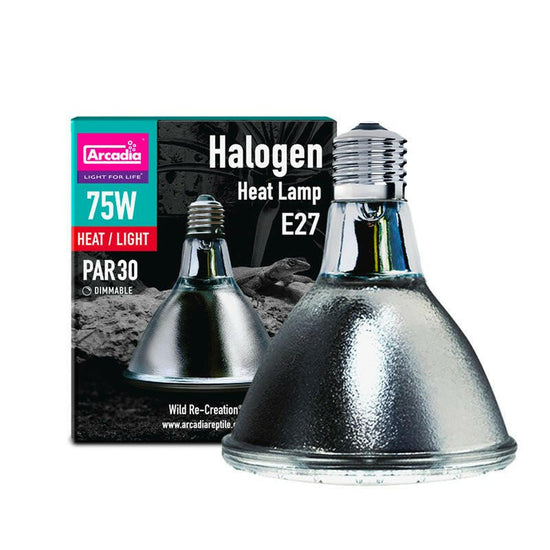 Arcadia Halogen Basking Lamp (E27) 75w – Charterhouse Aquatics