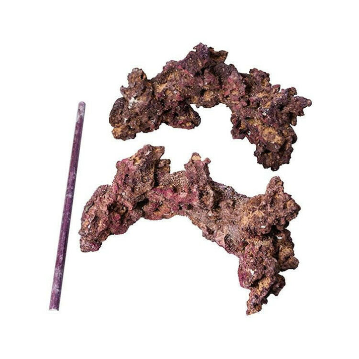 Caribsea Life Rock Reef Tree Extension Kit – Charterhouse Aquatics