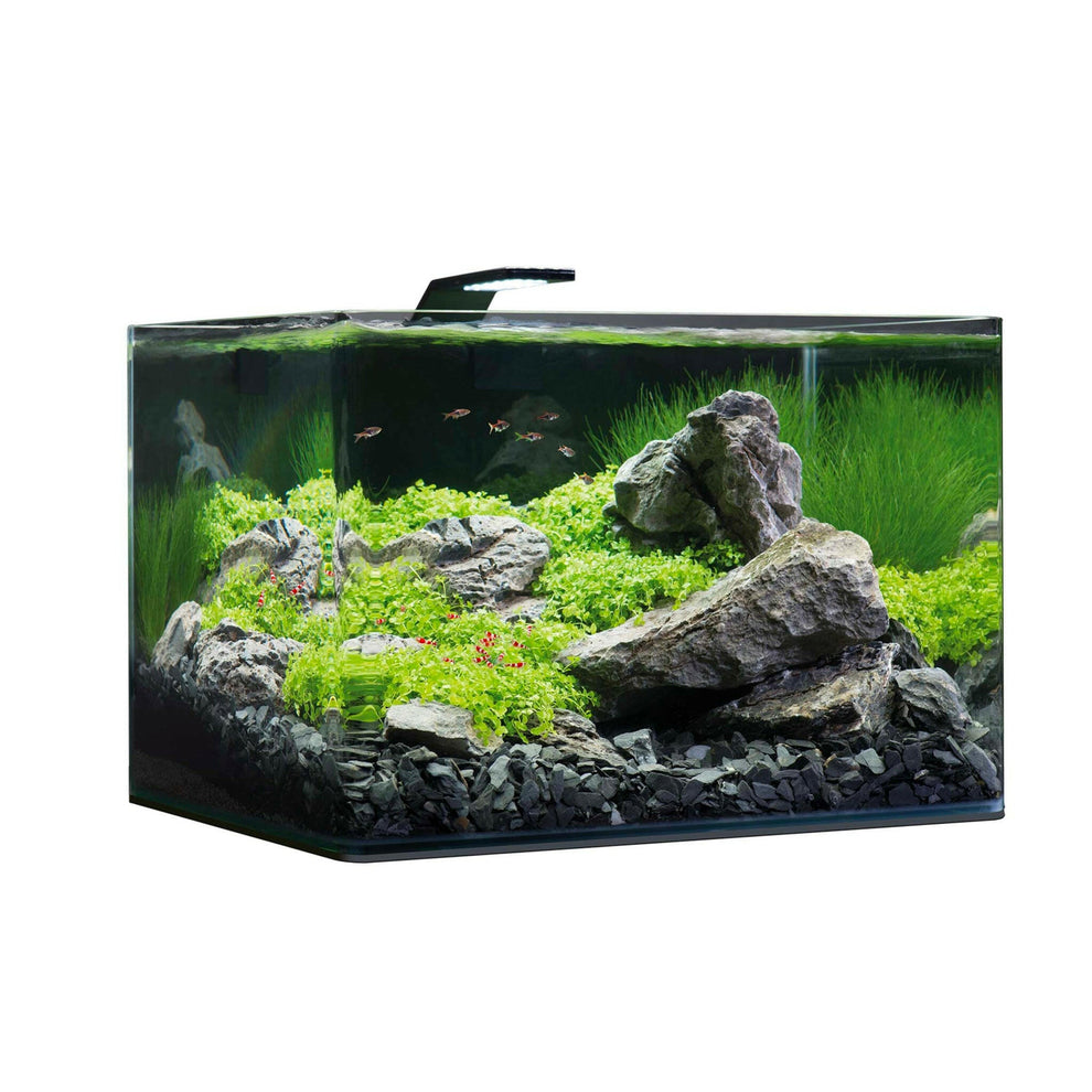 Dennerle Nano Scapers Tank Aquarium 55L – Charterhouse Aquatics