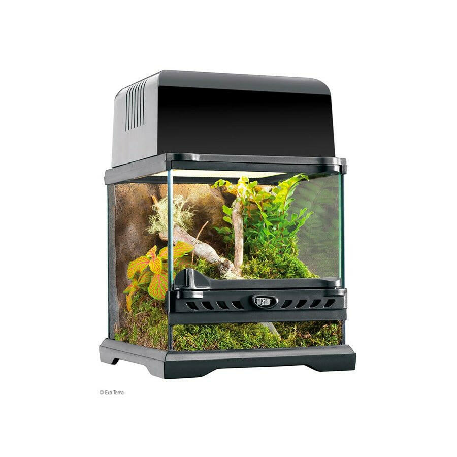 Exo Terra Glass Terrarium Nano Wide - 20x20x20cm | Charterhouse ...