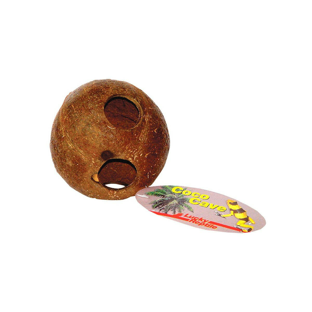 Lucky Reptile Coco Cave Whole | Charterhouse Reptiles – Charterhouse ...