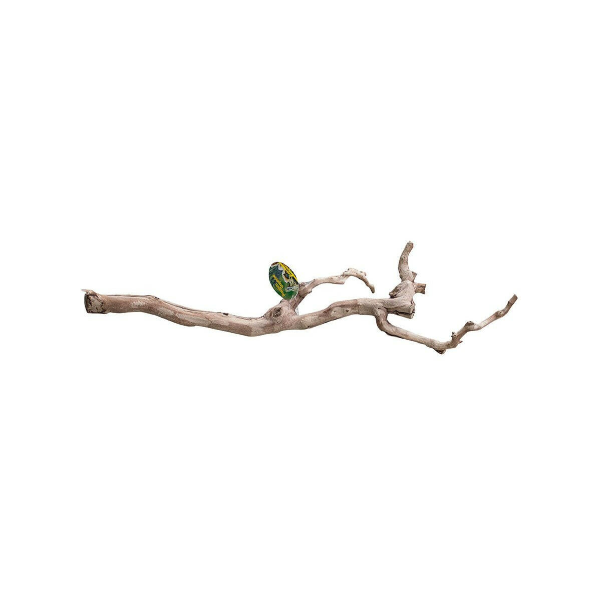 Lucky Reptile Premium Grapevine Large – Charterhouse Aquatics