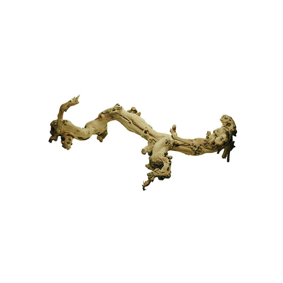 Lucky Reptile Sand-blasted Grapevine Large – Charterhouse Aquatics