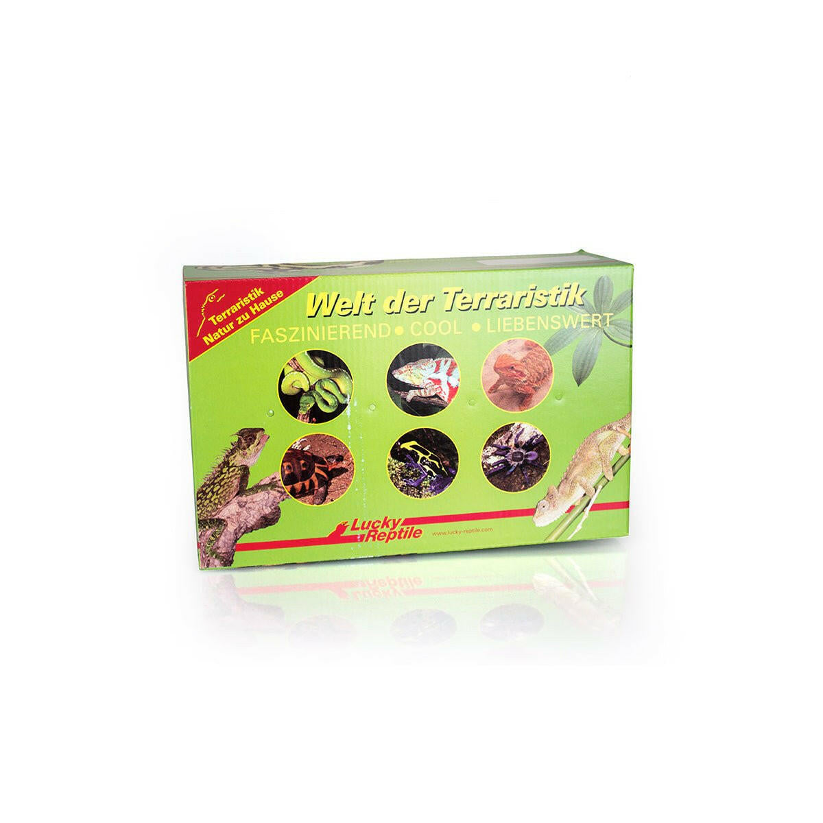 Lucky Reptile Transport Box for Lizards Small