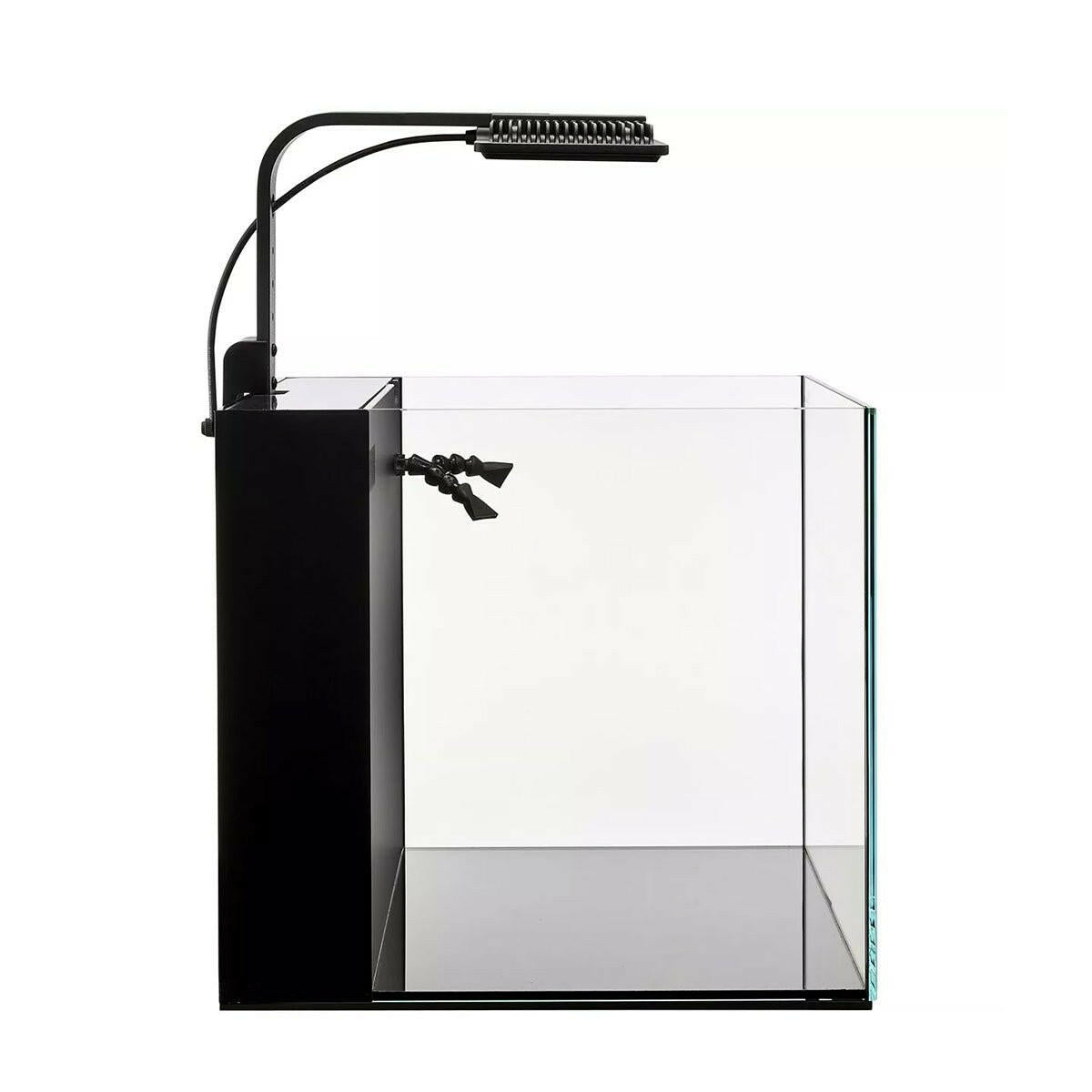 Maxspect Dice AIO Nano Aquarium – Charterhouse Aquatics