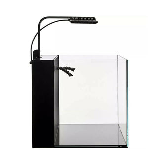 Maxspect Dice AIO Nano Aquarium – Charterhouse Aquatics