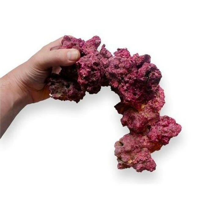 Real Reef Rock Arch Rock